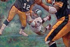 The Immaculate Reception Collection - Pittsburgh Quarterly
