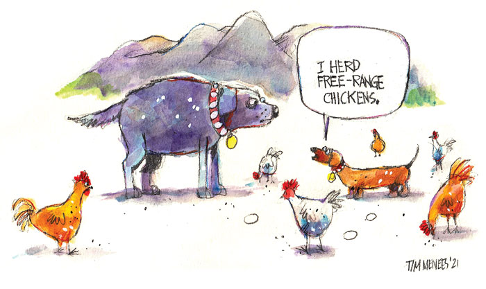 Cartoons - Pittsburgh Quarterly