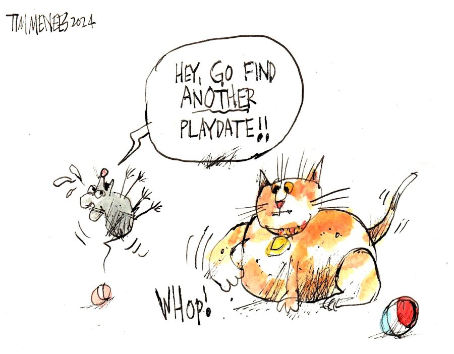 CatPlaydate - Pittsburgh Quarterly