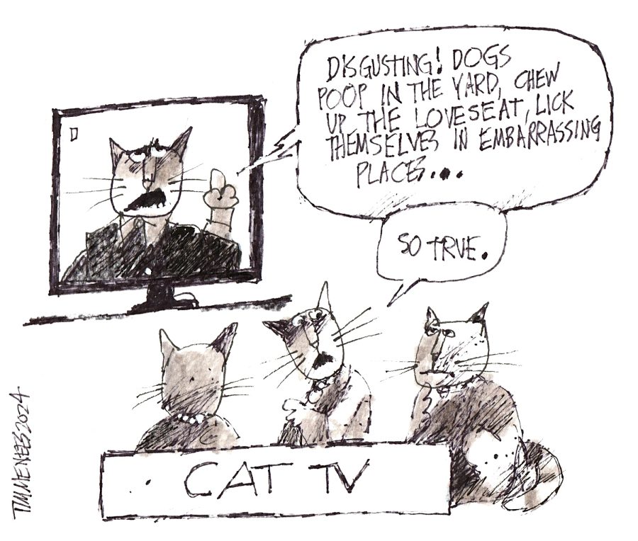 CatTV - Pittsburgh Quarterly