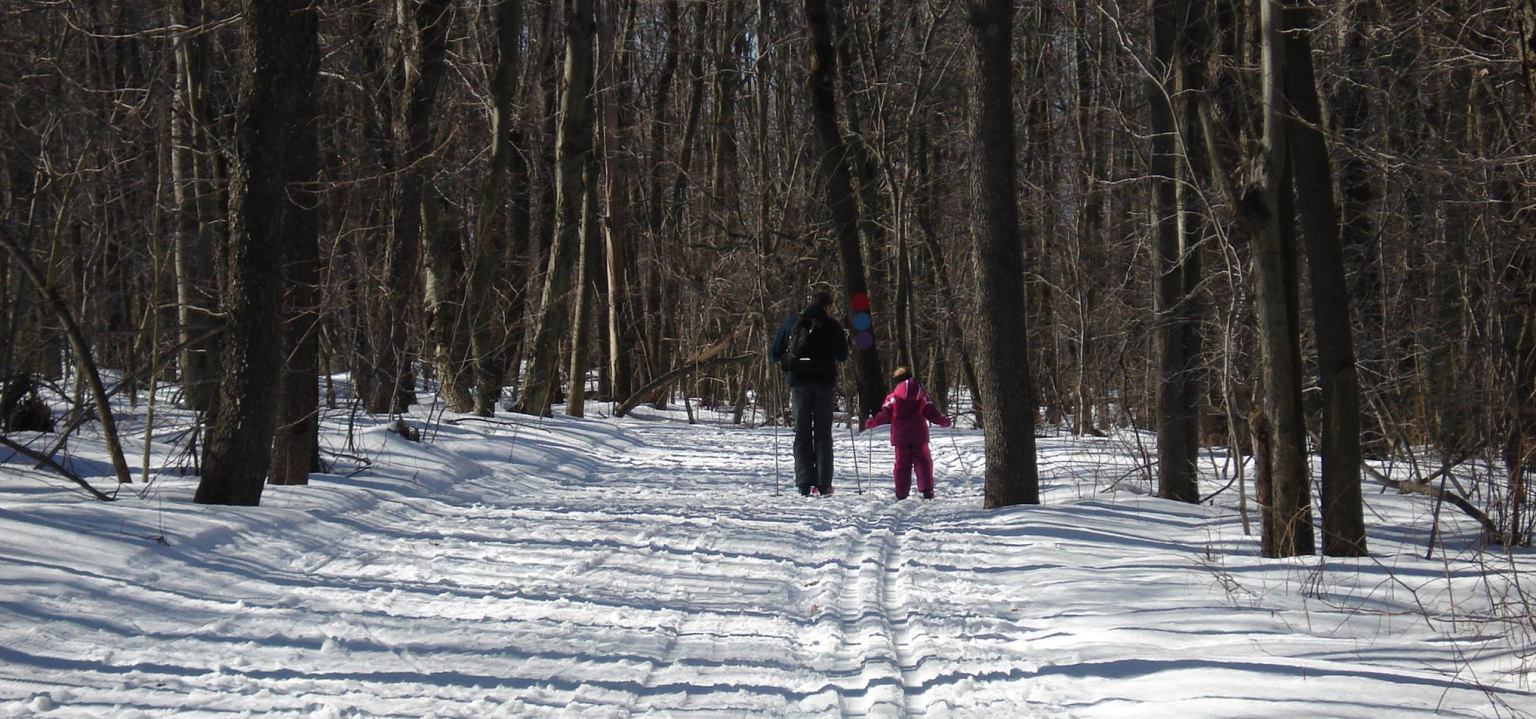 Mystery and Reverie - Pittsburgh Quarterly