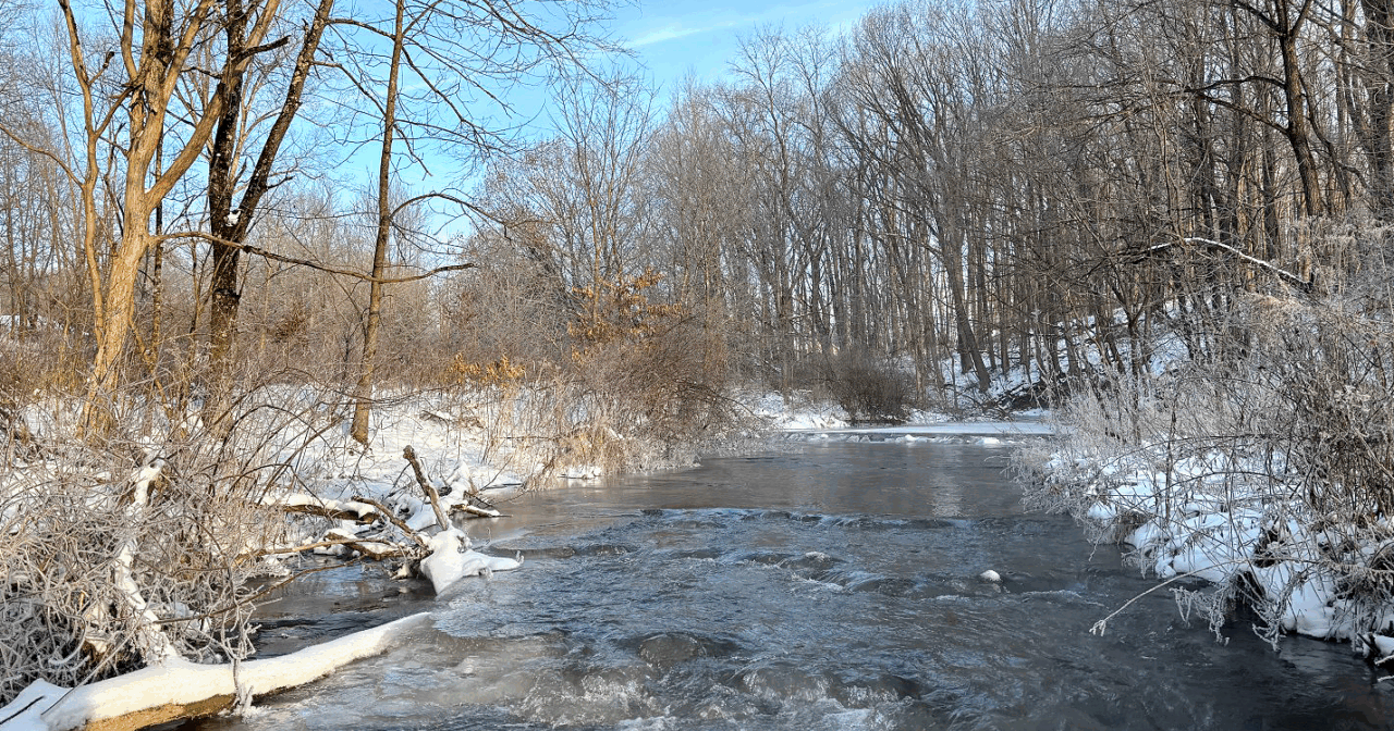 A Wintry Forest Trail Walk in Lawrence County - Pittsburgh Quarterly