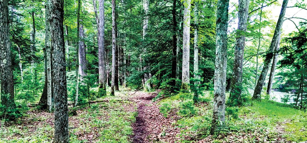 Floating on the Shenango River - Pittsburgh Quarterly