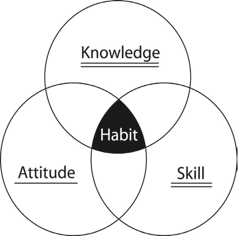 Harness the Power of Habit to Achieve Fitness Goals - Pittsburgh Quarterly