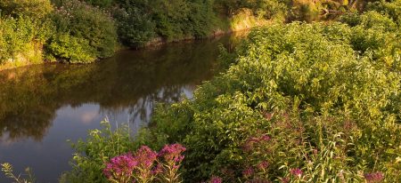 French Creek Watershed - Pittsburgh Quarterly
