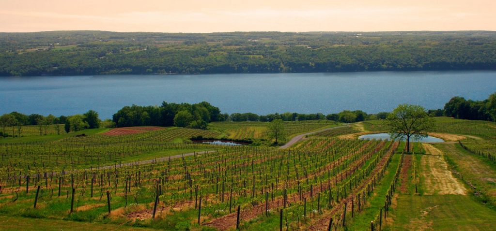 Song of the South Side Slopes - Pittsburgh Quarterly